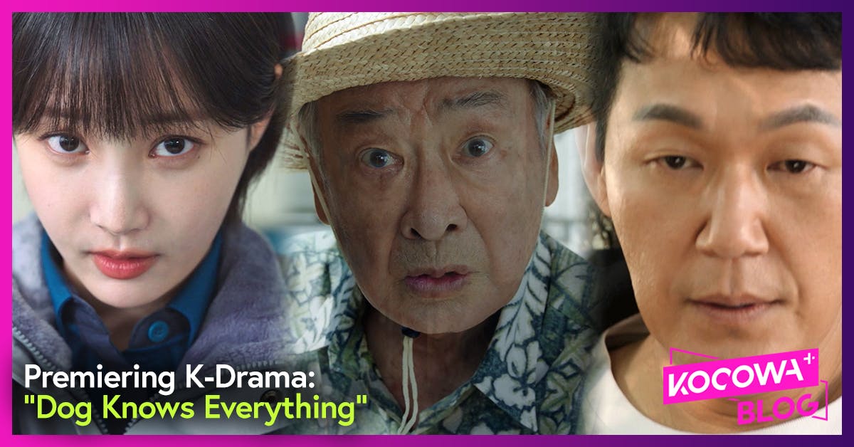 Premiering K-Drama: “Dog Knows Everything”